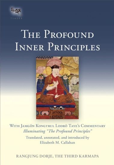 The Profound Inner Principles | Watkins Books