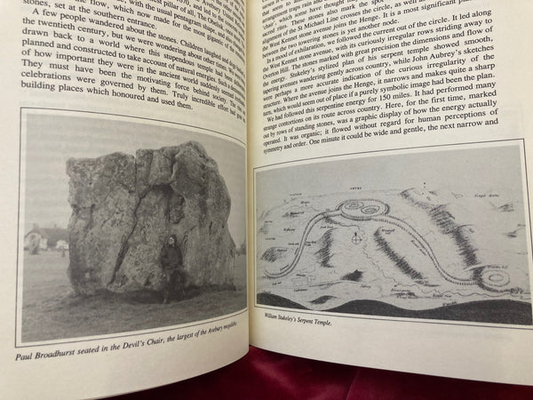 The Sun and the Serpent by Hamish Miller & Paul Broadhurst | Watkins Books